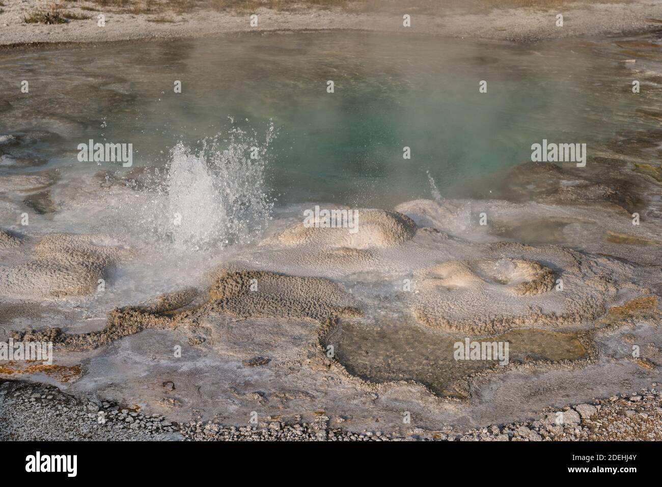 Spasmodic Geyser has more than twenty vents that can erupt. Upper ...