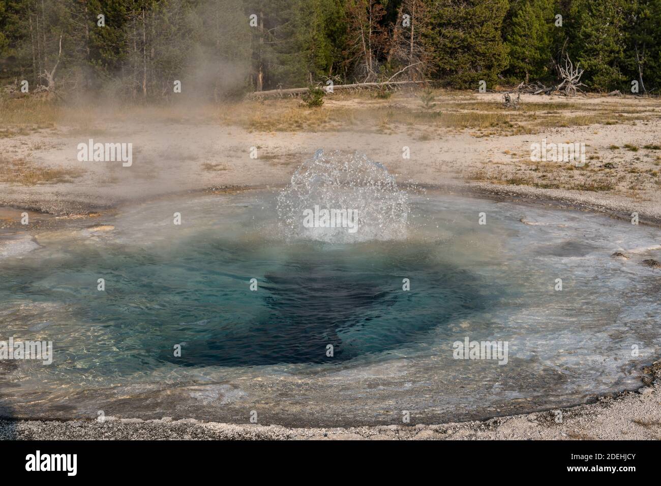 Spasmodic geyser hi-res stock photography and images - Alamy