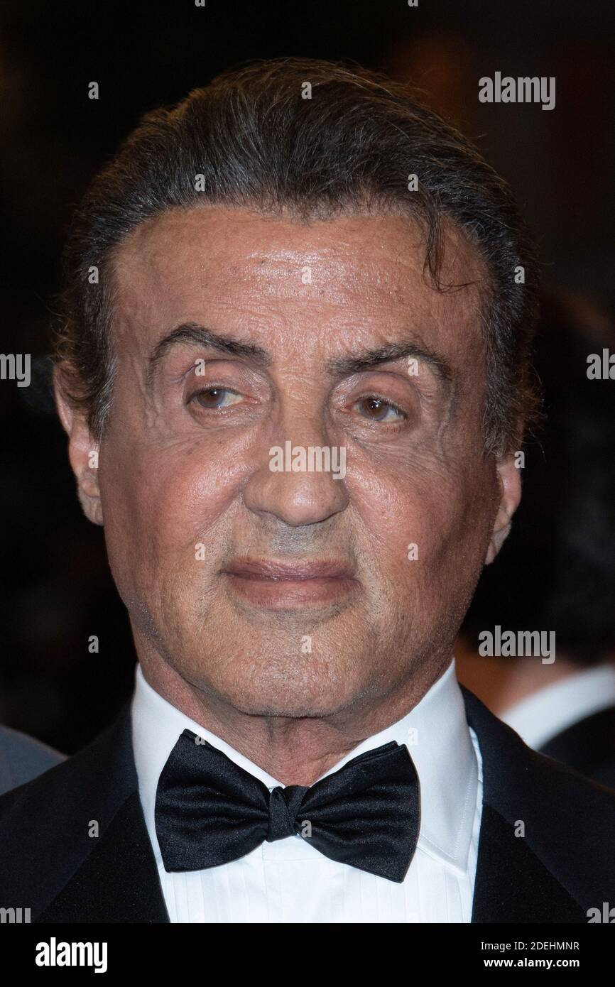 Sylvester Stallone attending the the screening of Rambo - First Blood ...