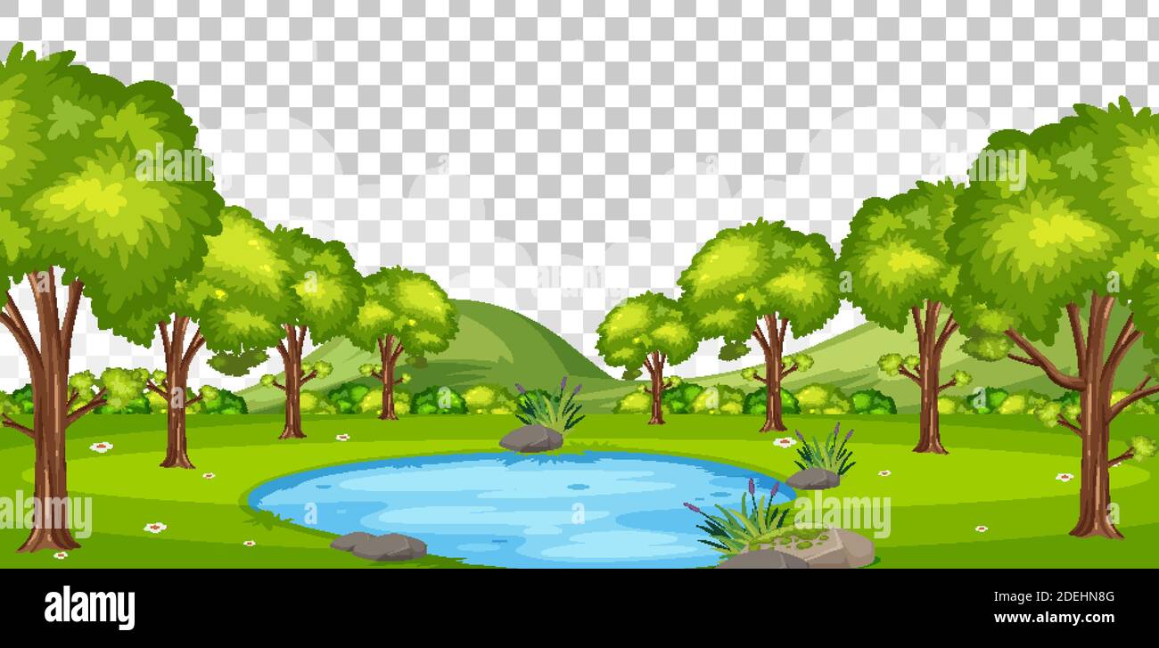 Wetland Clipart