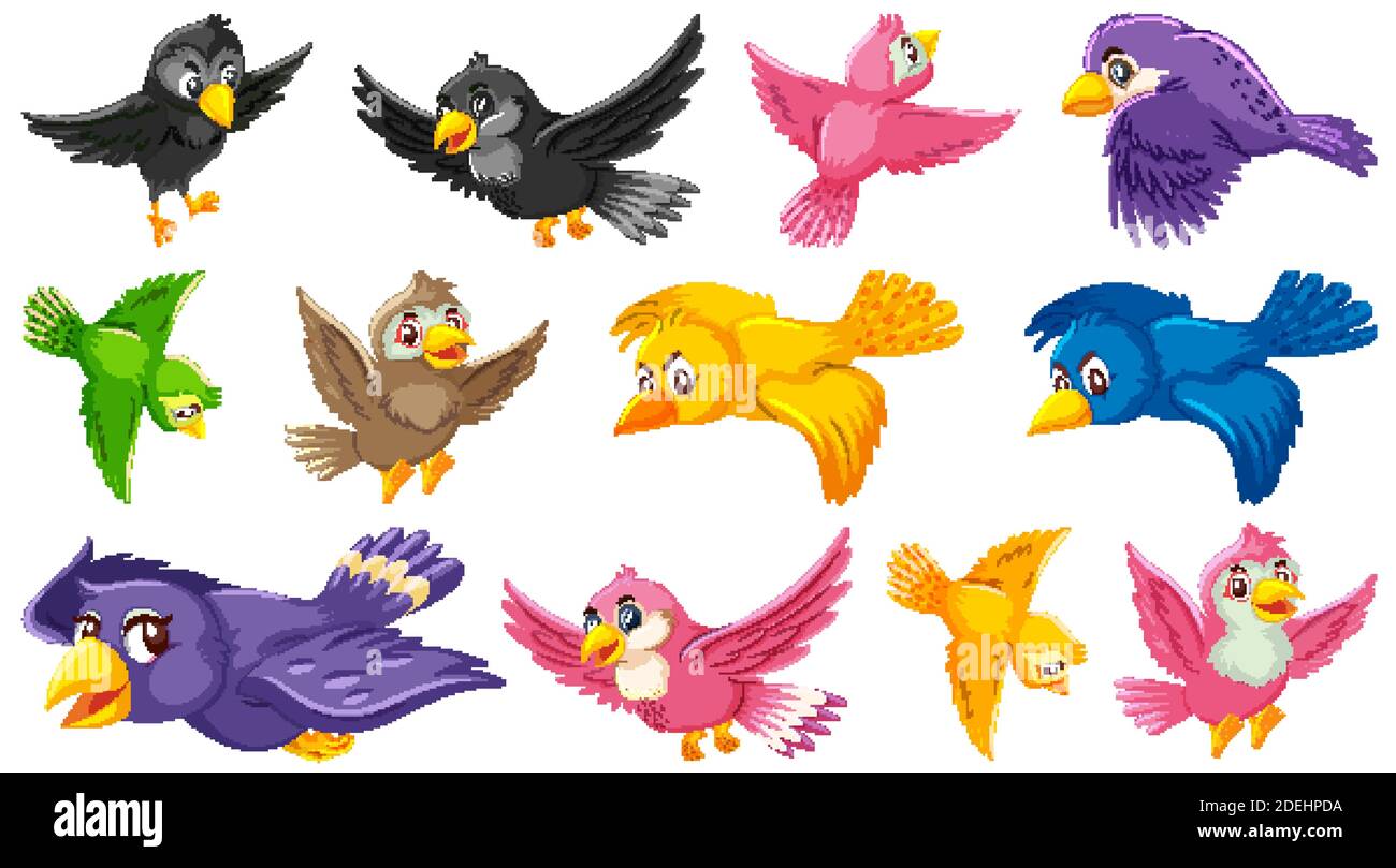 Set of bird cartoon character illustration Stock Vector Image & Art - Alamy