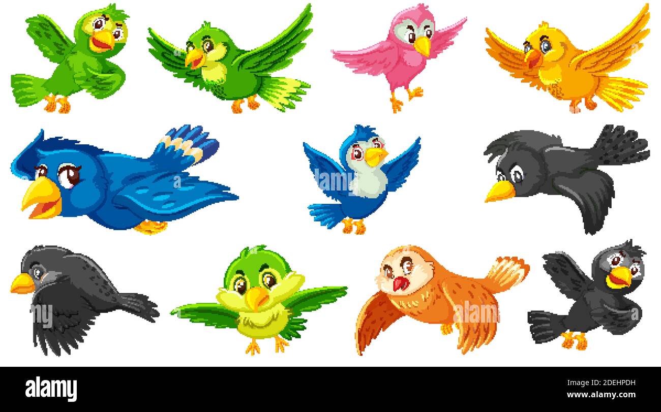 Set of bird cartoon character illustration Stock Vector Image & Art - Alamy