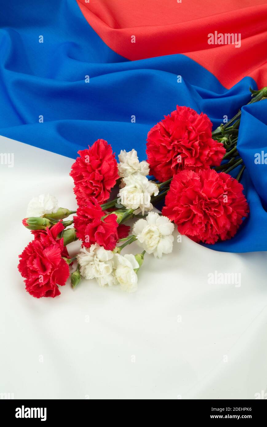 Bouquet of red and white carnations on a red , blue and white ...