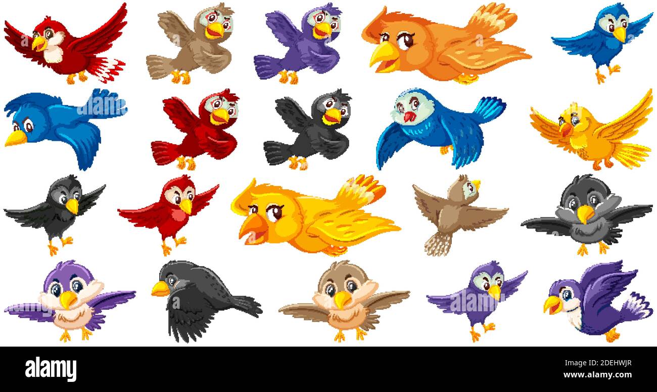 Set of bird cartoon character illustration Stock Vector Image & Art - Alamy
