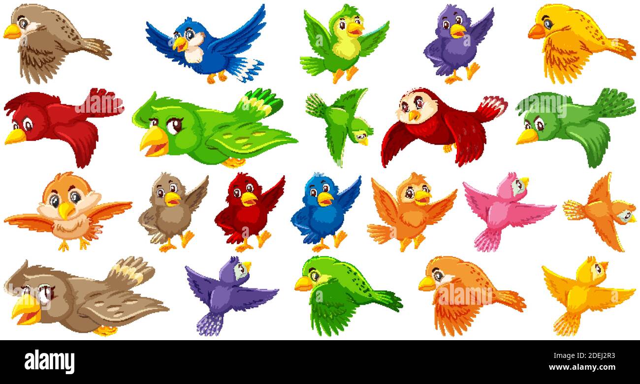 Set of bird cartoon character illustration Stock Vector Image & Art - Alamy