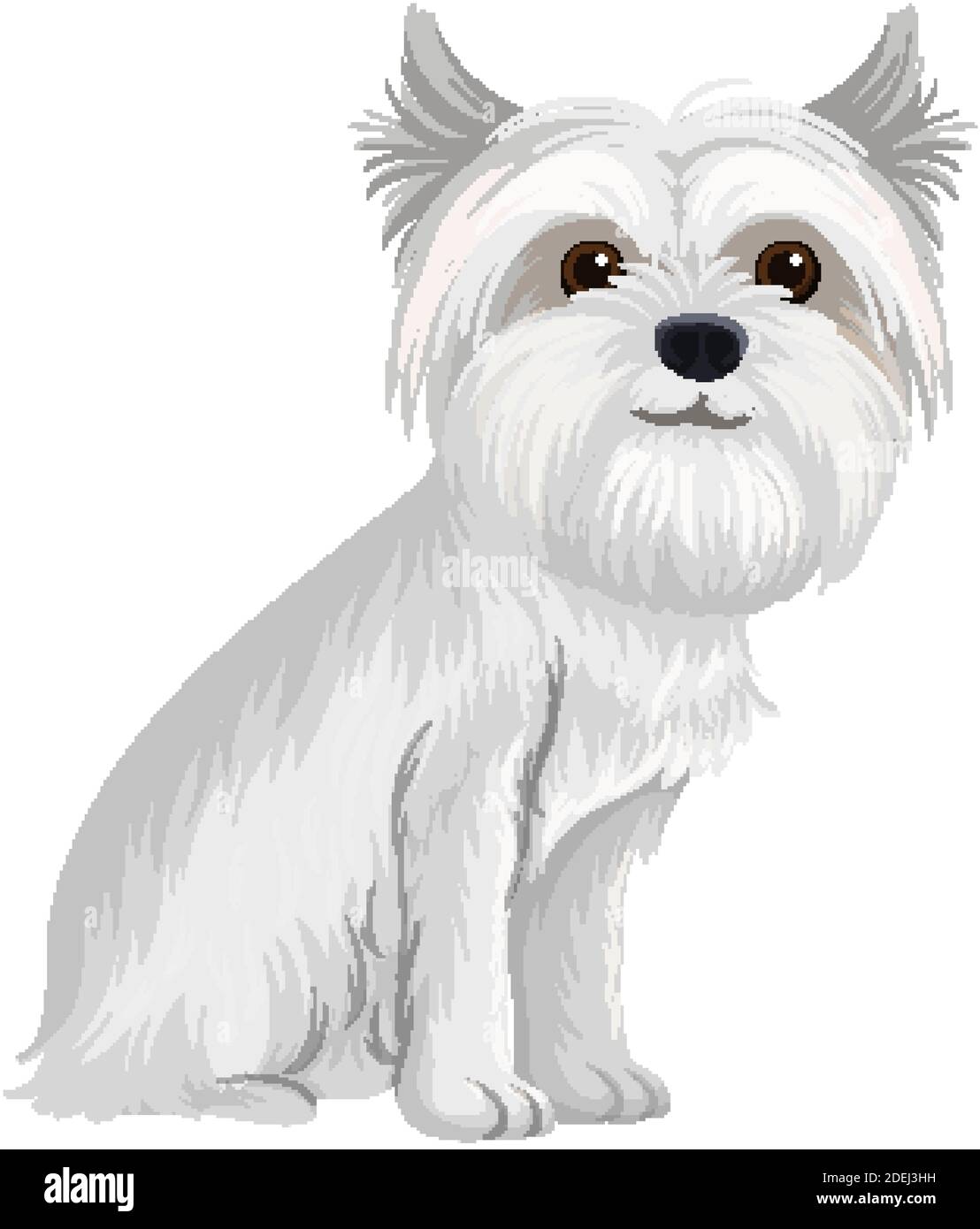 Maltese cartoon style on white background illustration Stock Vector ...