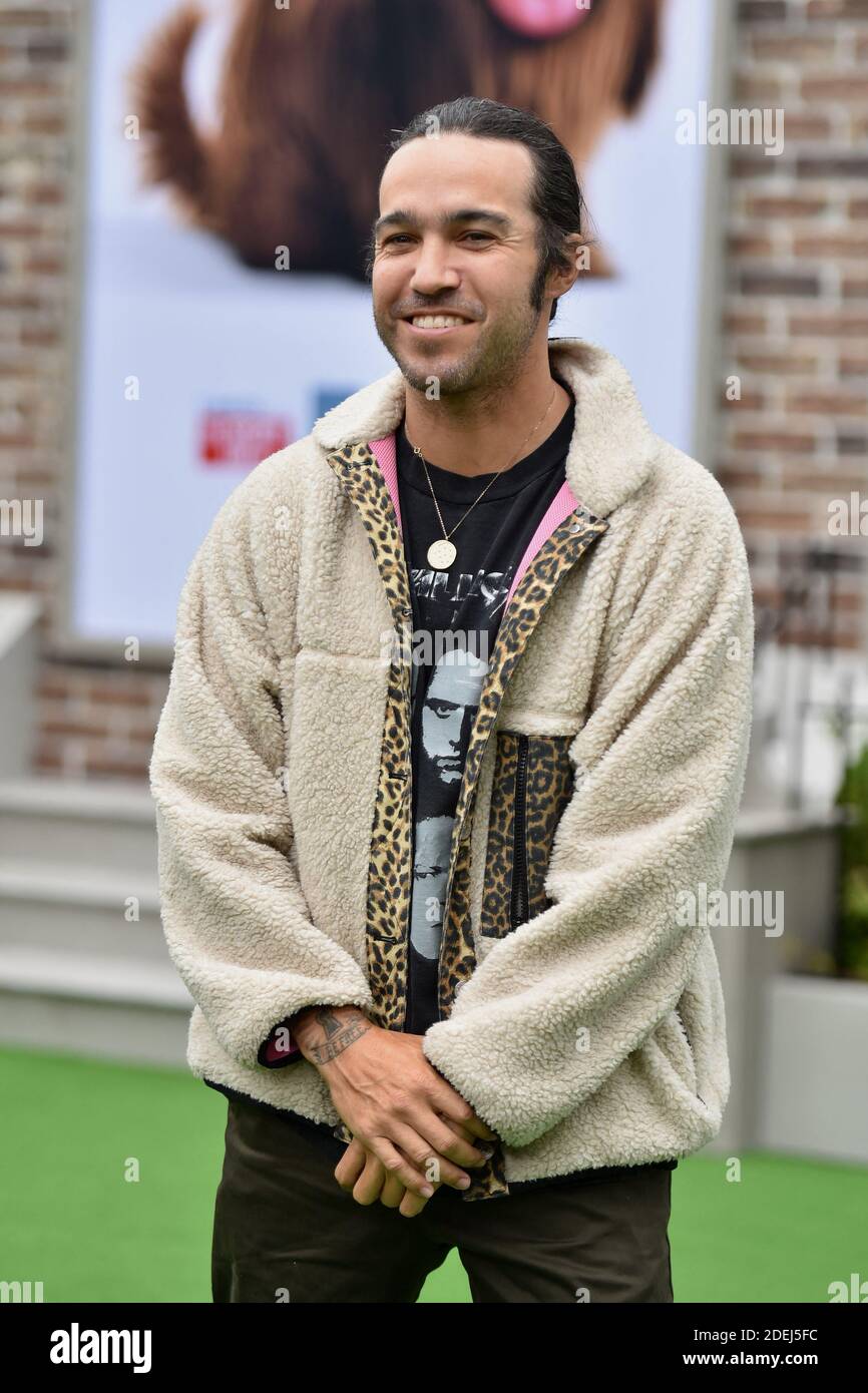 Pete Wentz attends the Premiere of Universal Pictures' 'The Secret Life ...