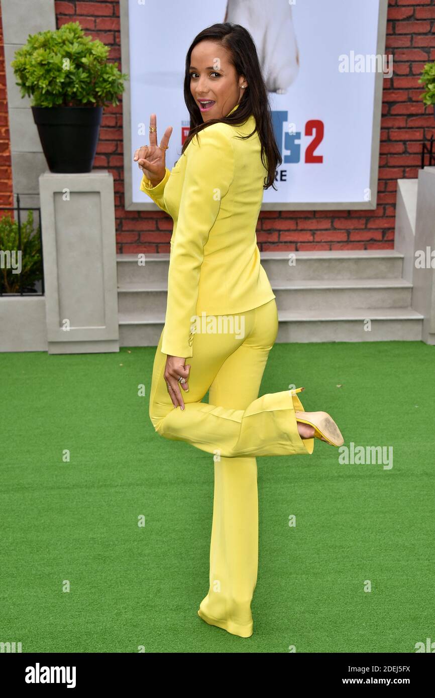 Dania Ramirez attends the Premiere of Universal Pictures' 'The Secret ...