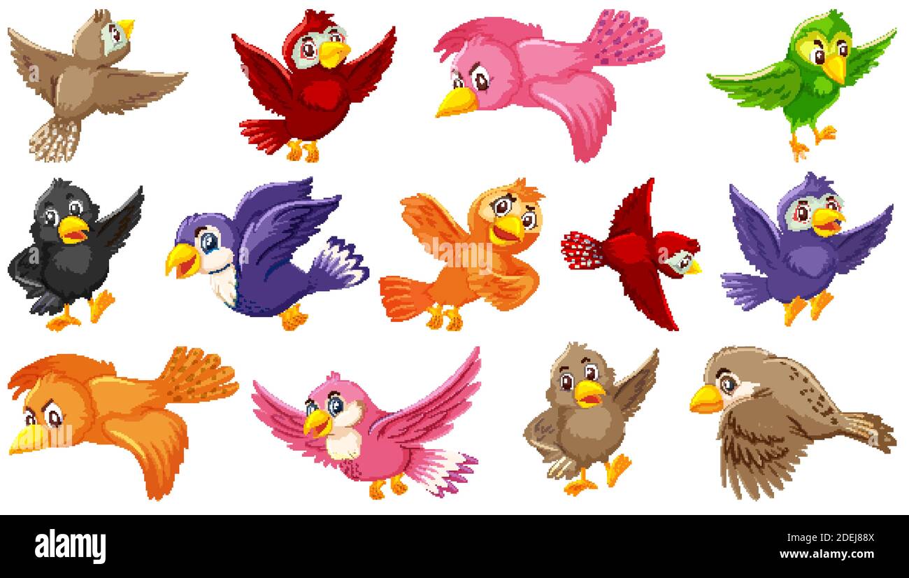 Set of bird cartoon character illustration Stock Vector Image & Art - Alamy