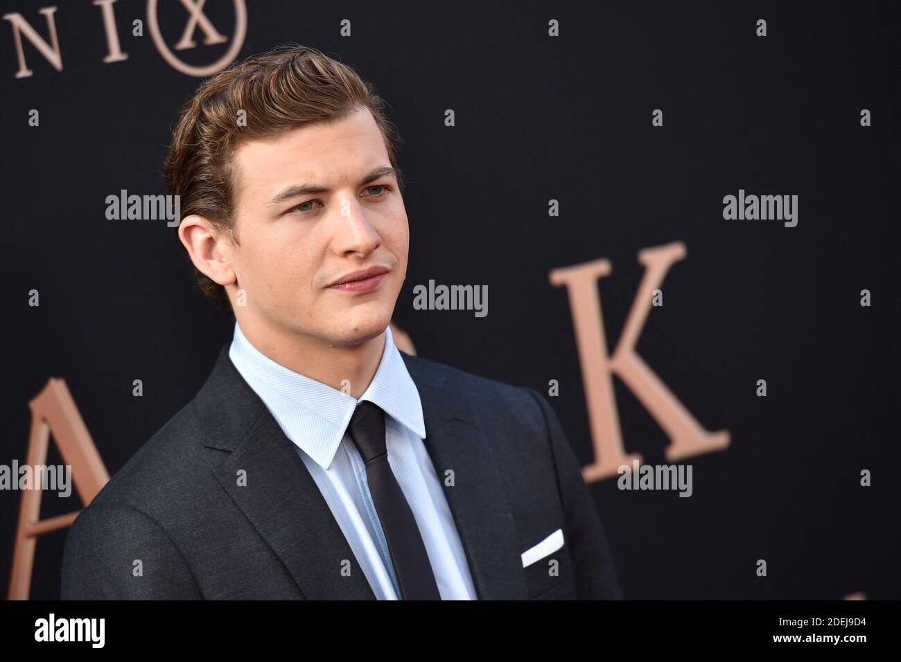 Tye Sheridan attends the Premiere Of 20th Century Fox's "Dark Phoenix ...