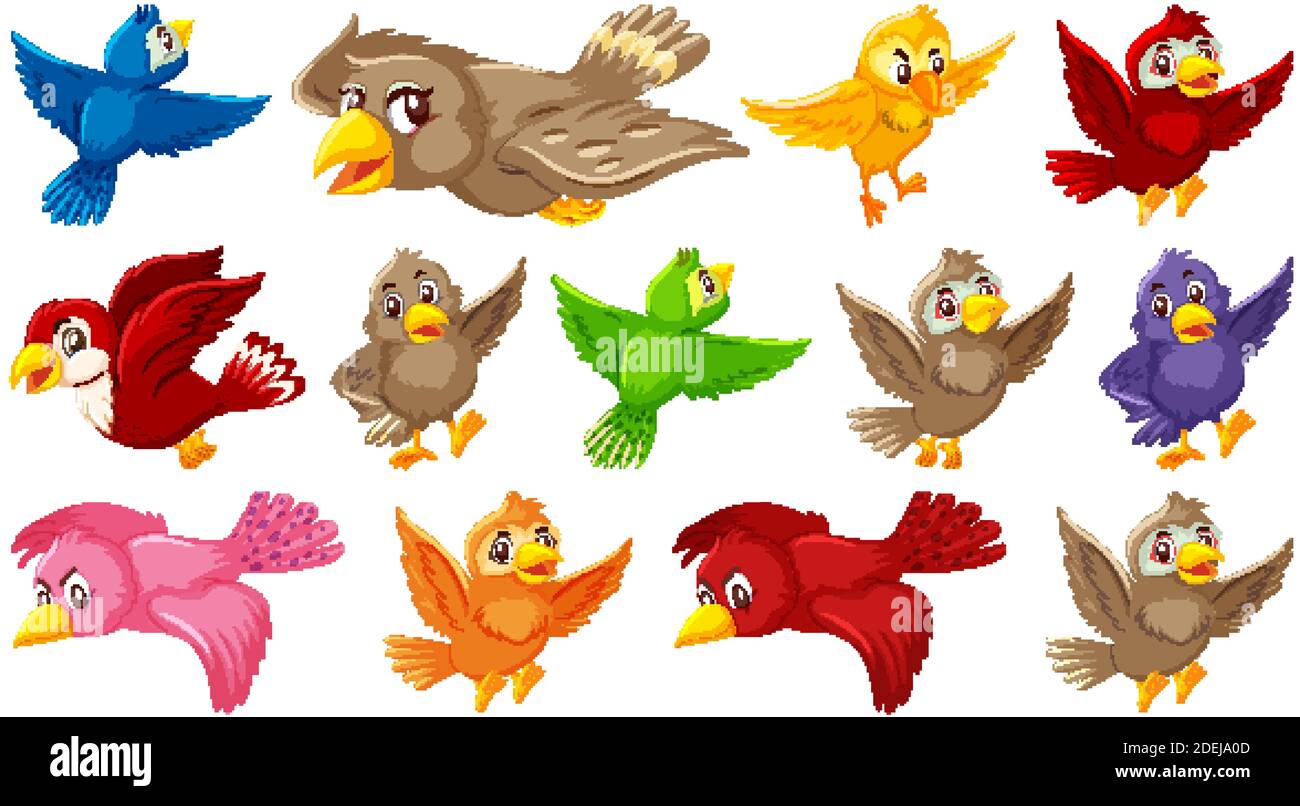 Set of bird cartoon character illustration Stock Vector Image & Art - Alamy
