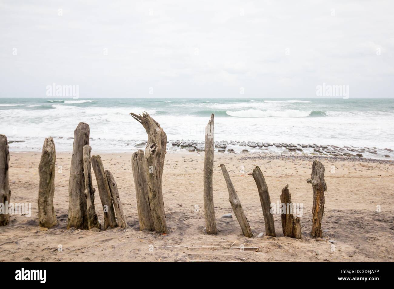 Driftwood at a beach in north Taiwan Stock Photo - Alamy