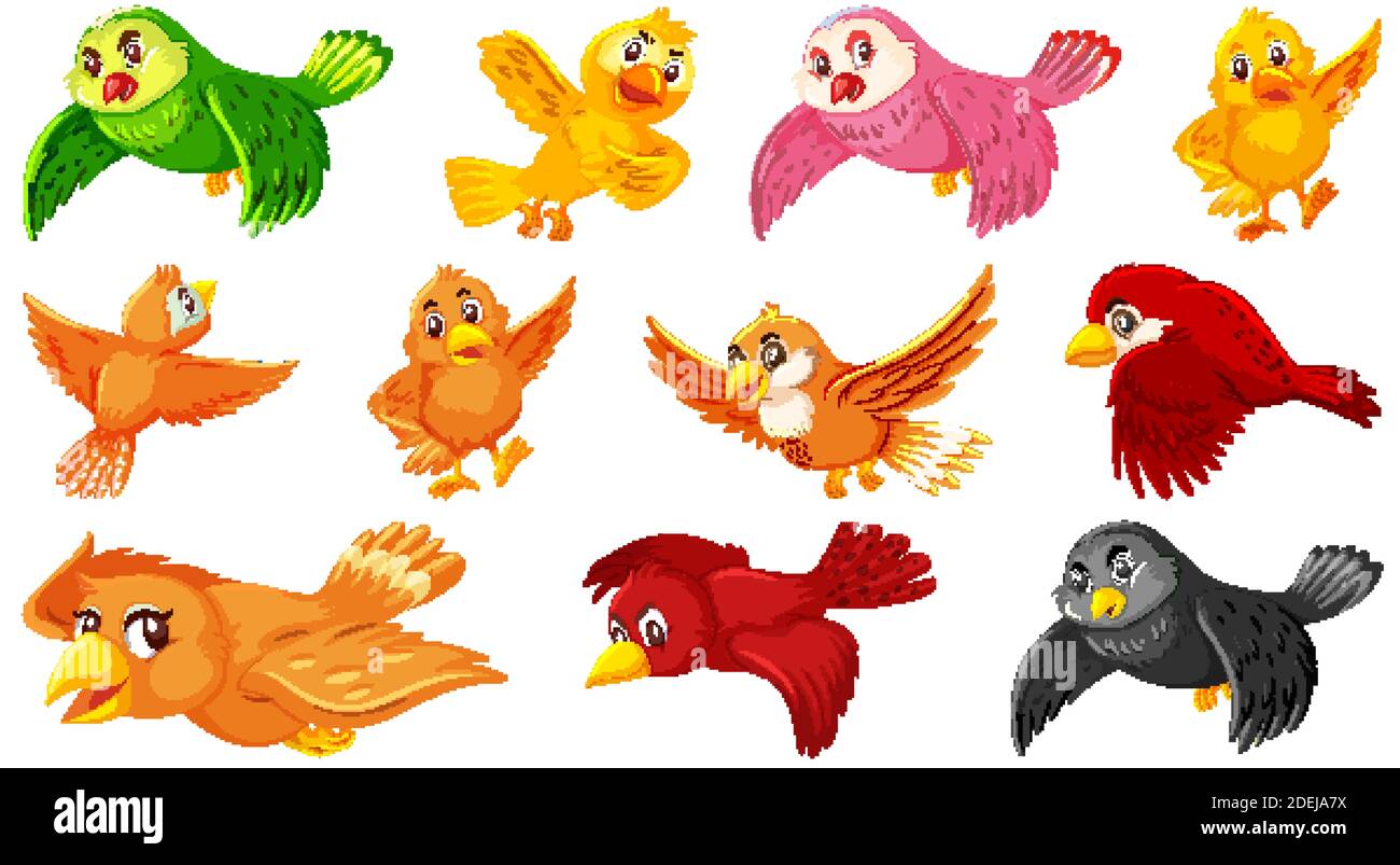 Set of bird cartoon character illustration Stock Vector Image & Art - Alamy