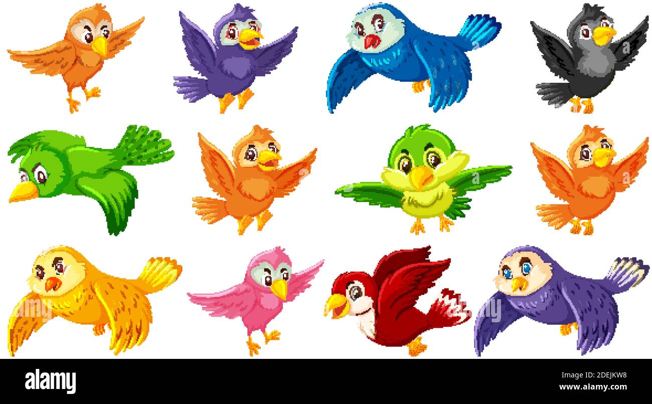 Set of bird cartoon character illustration Stock Vector Image & Art - Alamy