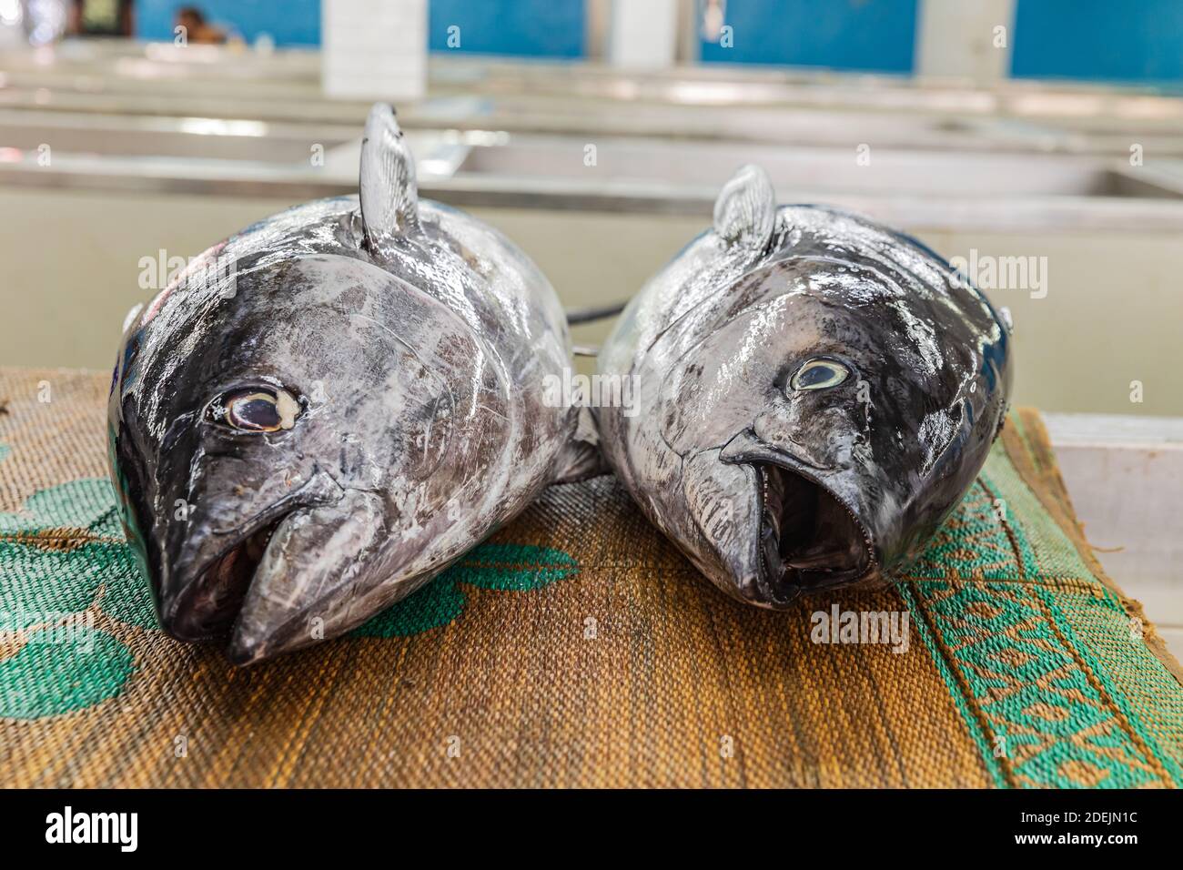 Middle East, Arabian Peninsula, Oman, Muscat, Muttrah. Fish for sale at ...