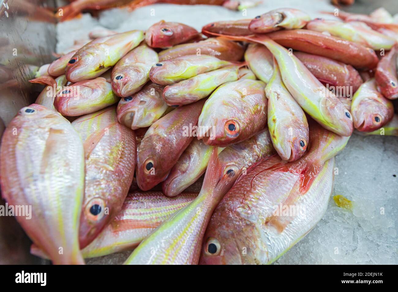 Middle East, Arabian Peninsula, Oman, Muscat, Muttrah. Fish for sale at ...