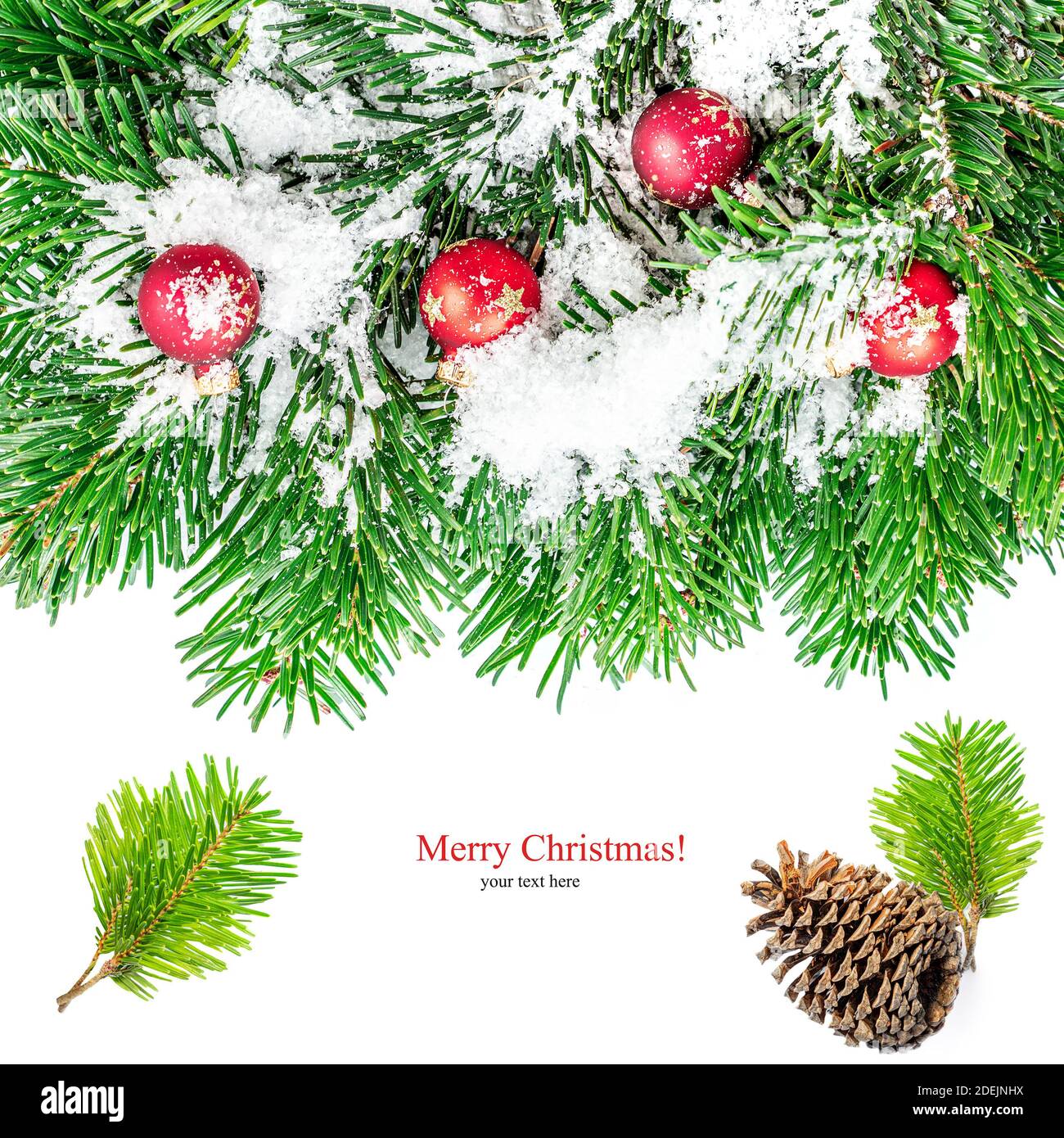 Christmas border with fir branches, pine cone and red balls isolated on ...