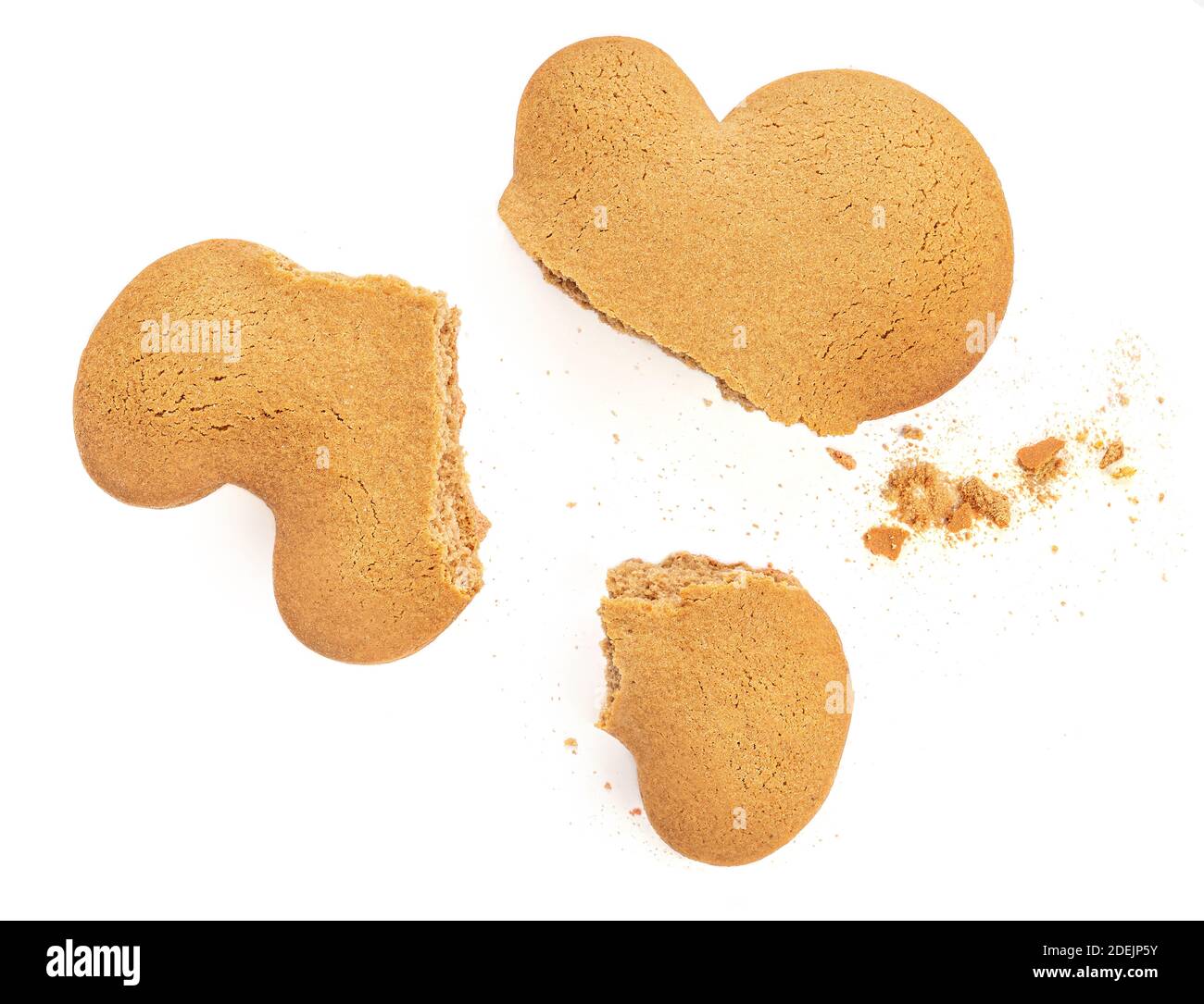 Collection with Pieces of Gingerbread cookie isolated on white ...