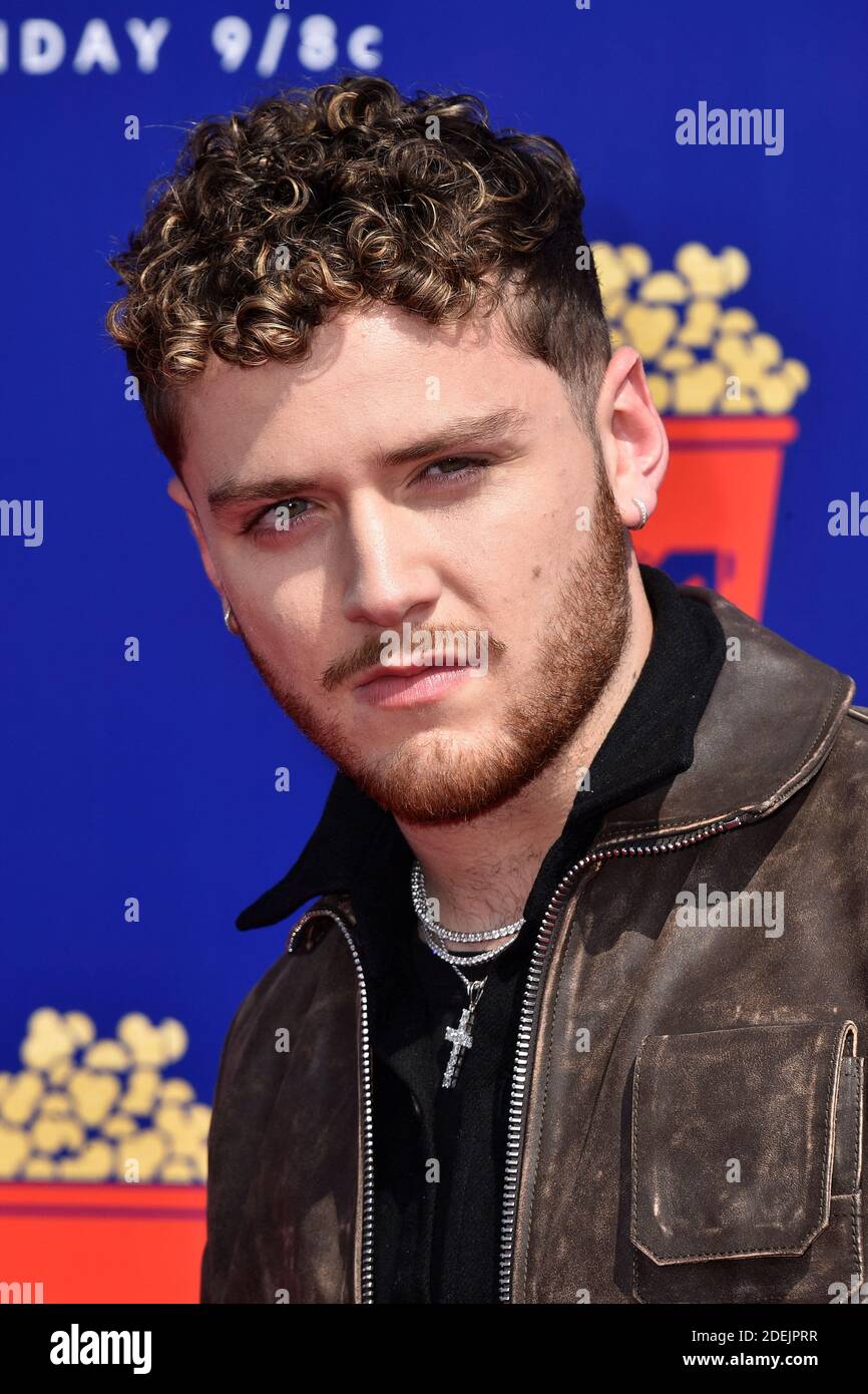 Bazzi attends the 2019 MTV Movie and TV Awards at Barker Hangar on June ...