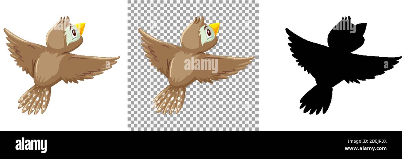 Set of bird character illustration Stock Vector Image & Art - Alamy