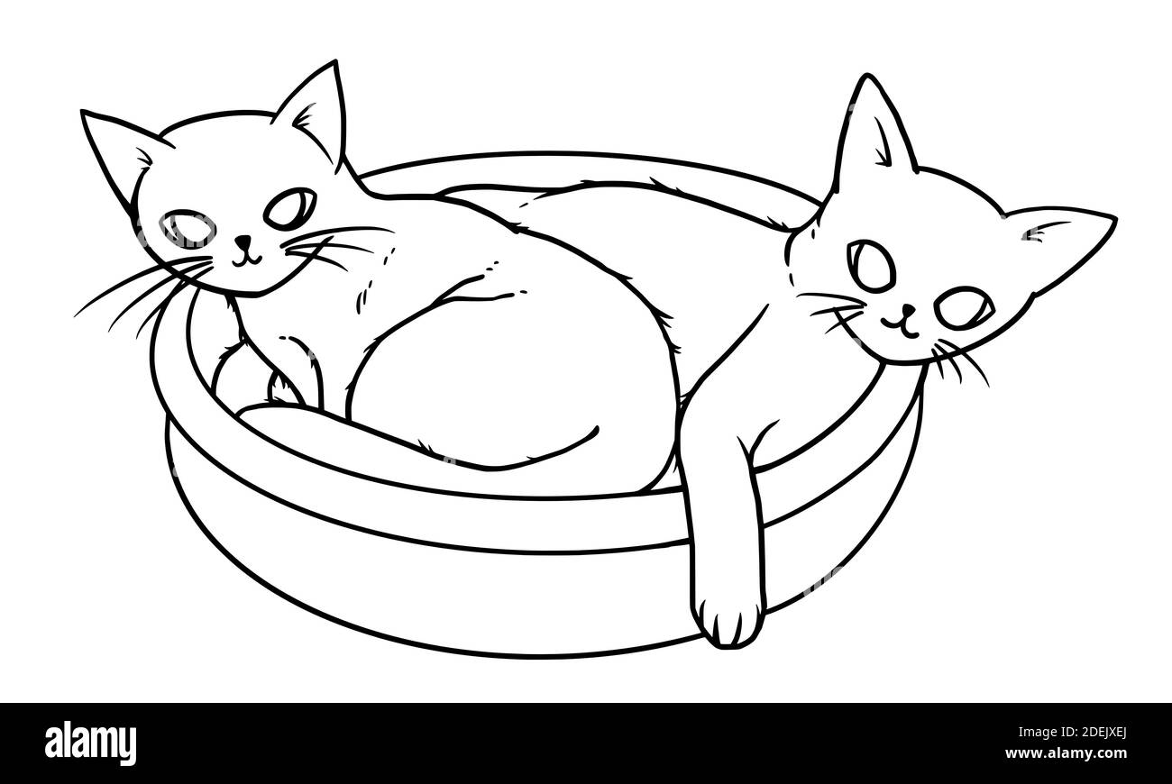 Curled up kitty Black and White Stock Photos & Images - Alamy