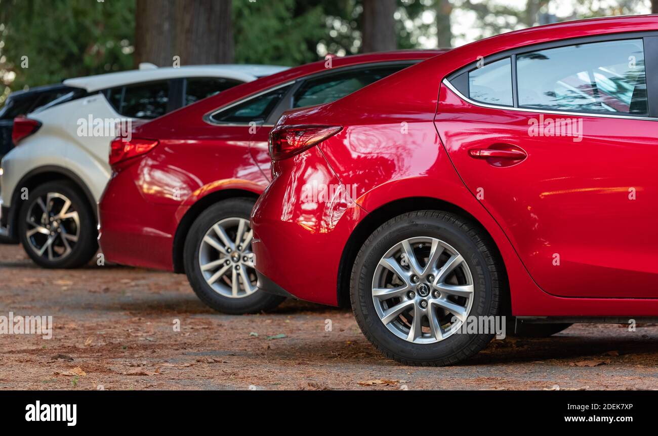 Rear view of the red cars details parked in the park. Travel photo ...