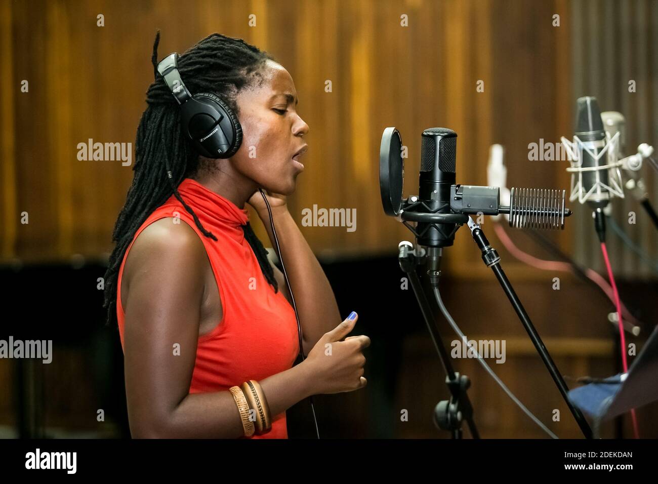 Johannesburg, South Africa - February 17, 2014: African Artist Nancy G ...