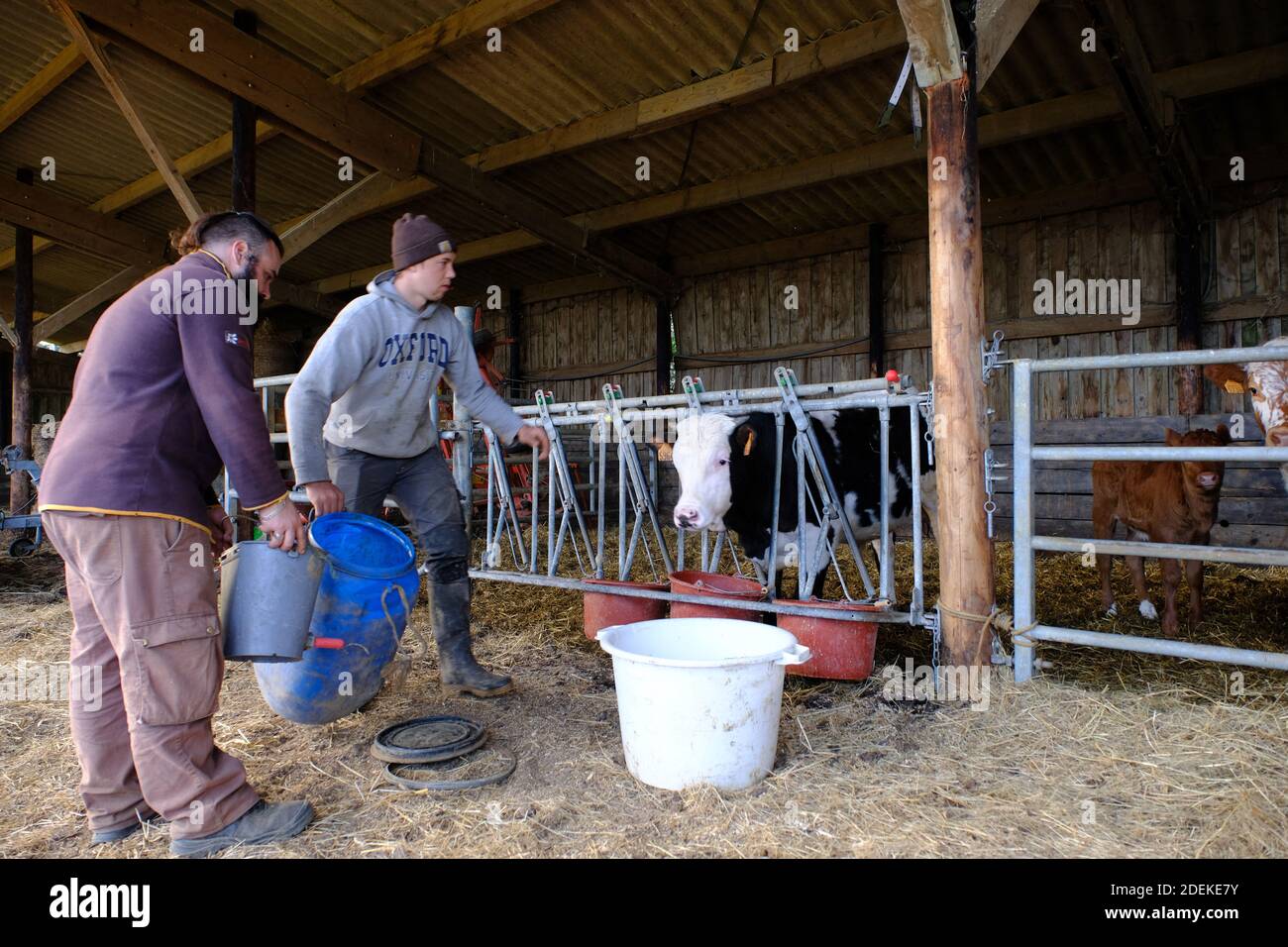 french farmers working in an organic farm in Payra sur L'hers, France ...