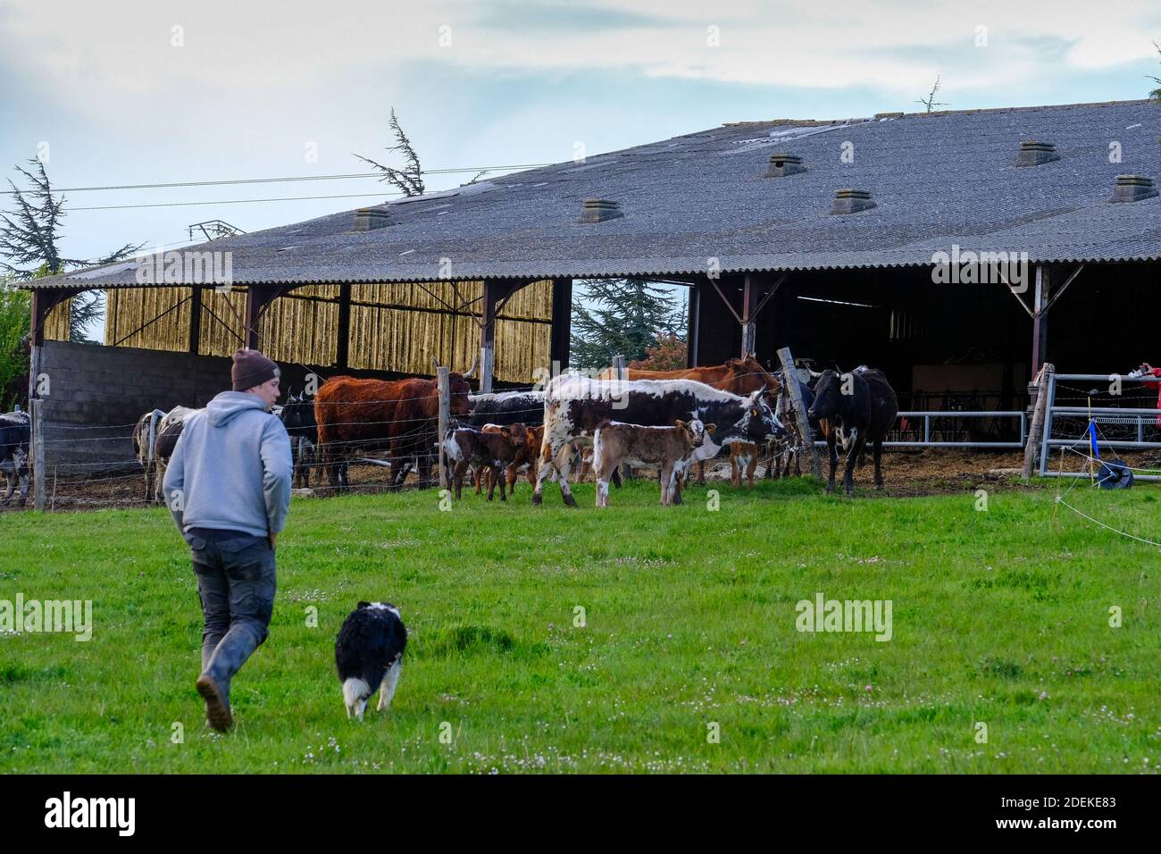 french farmers working in an organic farm in Payra sur L'hers, France ...