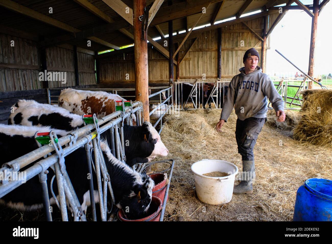 French farmers working in an organic farm in Payra sur L'hers, France ...