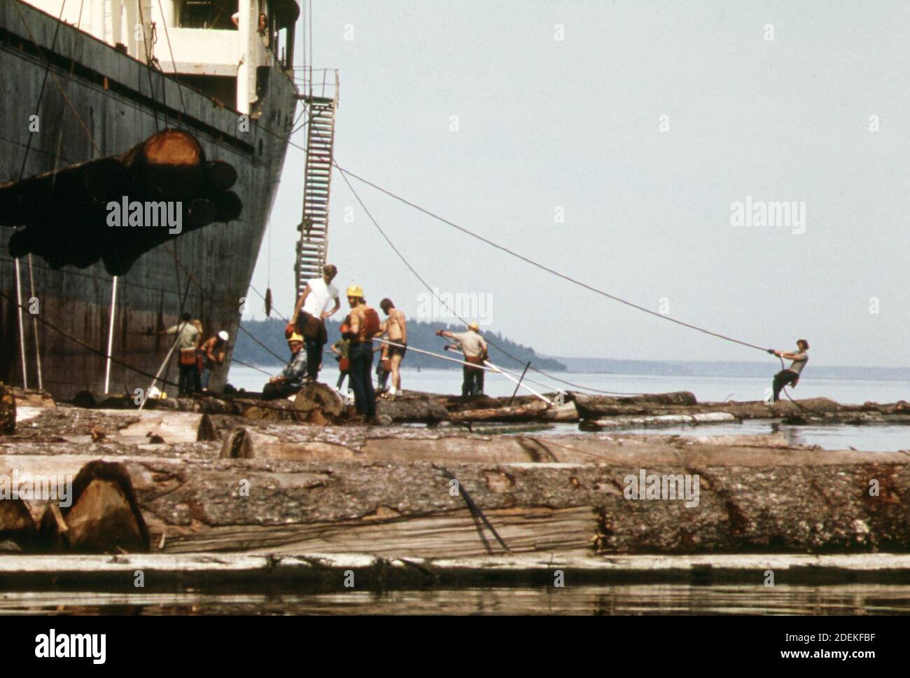 1970s logging hi-res stock photography and images - Alamy