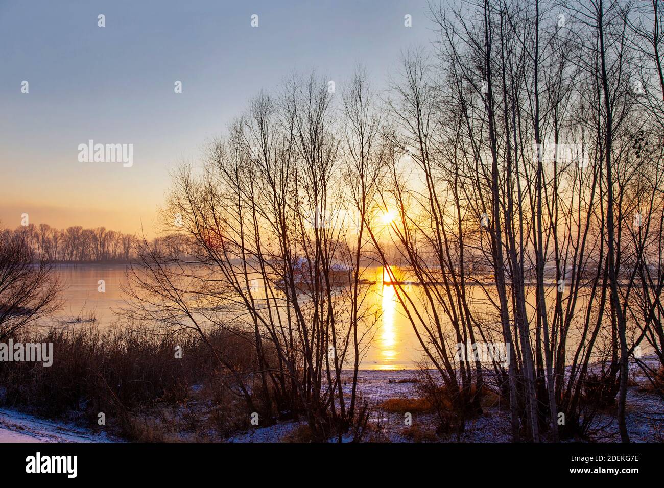 Sunset russian winter lanscape with trees silhouettes Stock Photo - Alamy