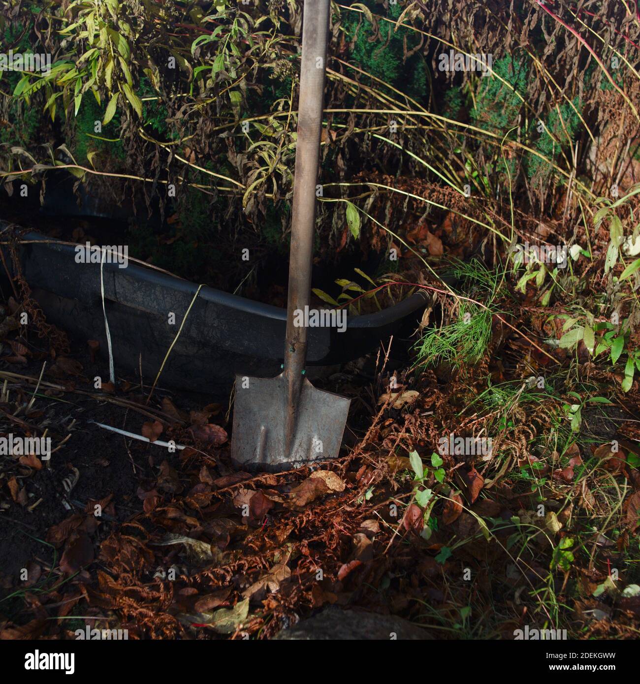 Preformed pond hi-res stock photography and images - Alamy