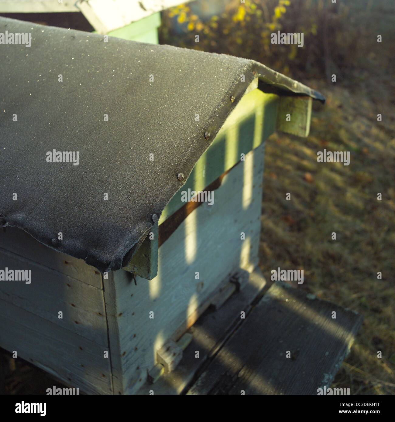 Beehive top hi-res stock photography and images - Alamy