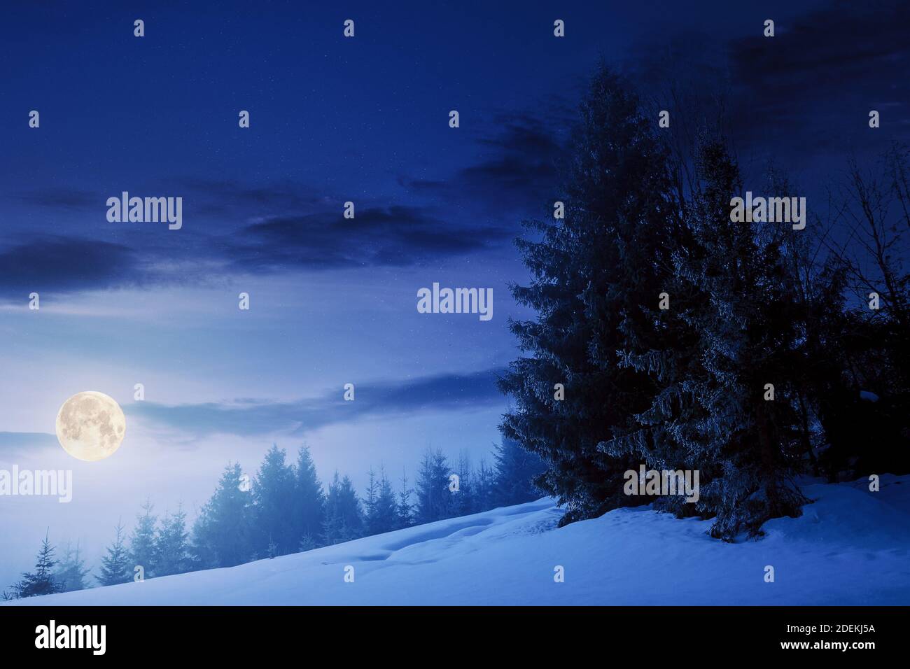 Enchanted forest moon hi-res stock photography and images - Alamy