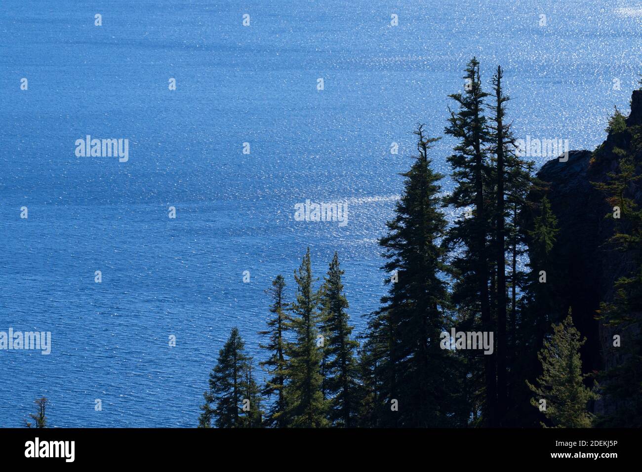 Caldera slope forest, Crater Lake National Park, Volcano Legacy ...
