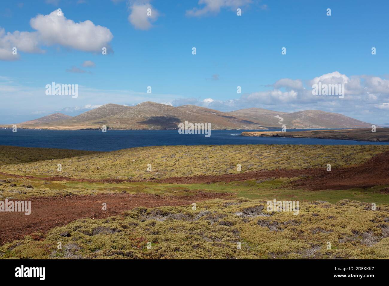 Saunders landscape, Falkland, January 2018 Stock Photo - Alamy