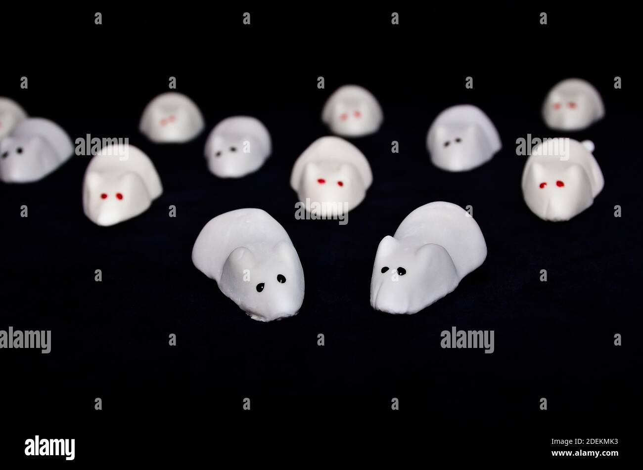 A group of white mice with red eyes from marshmallow, close up, looking ...