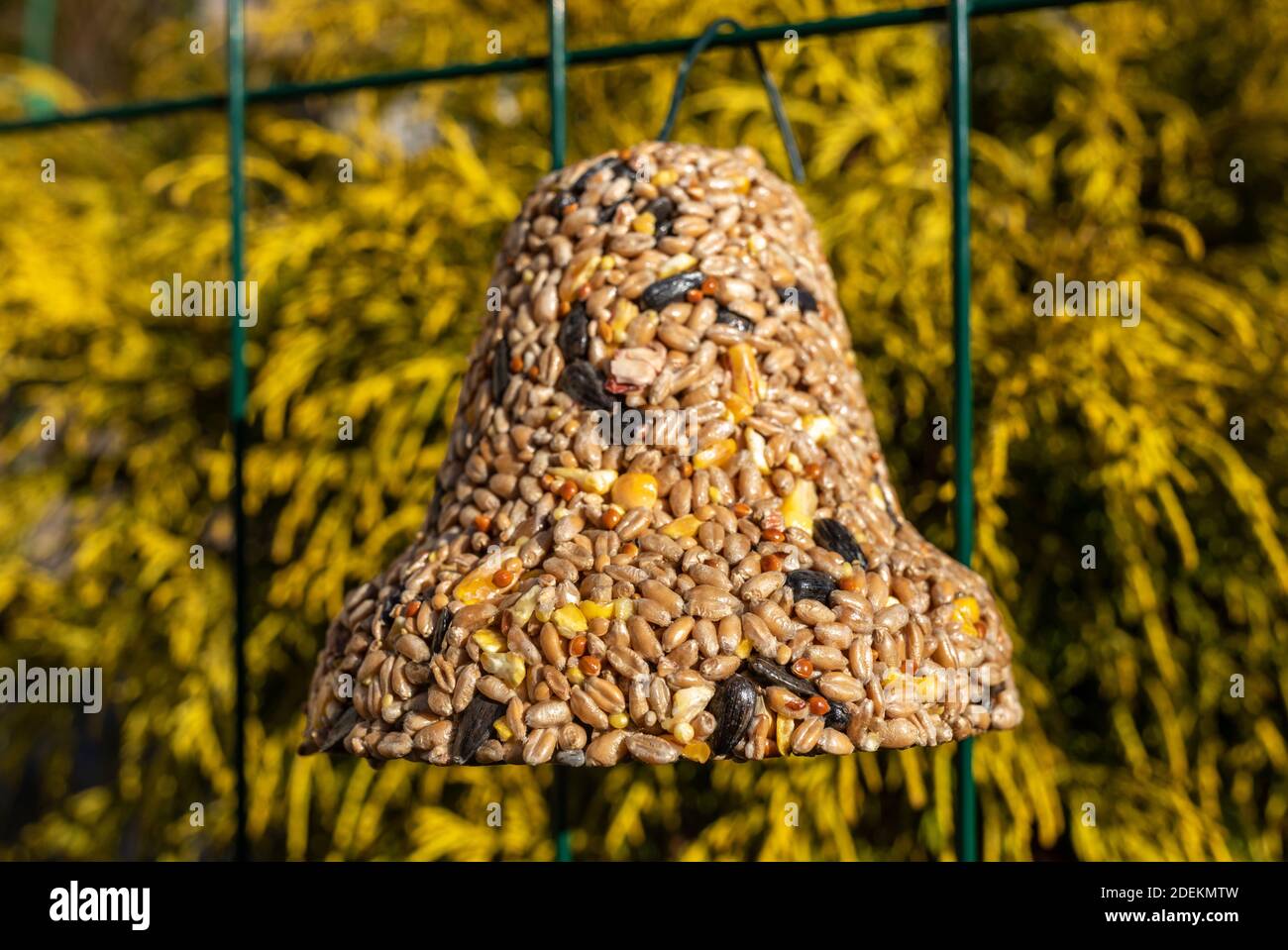 Bell from various grains, a delicacy for all the birds in the garden ...