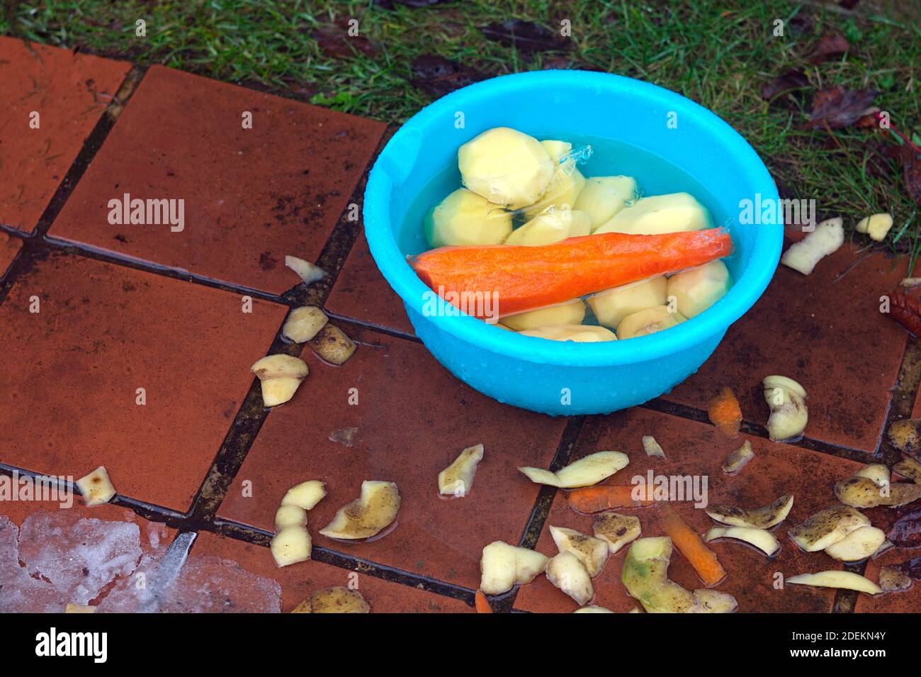A bowl with slightly frozen, peeled potato and carrot placed outdoor ...
