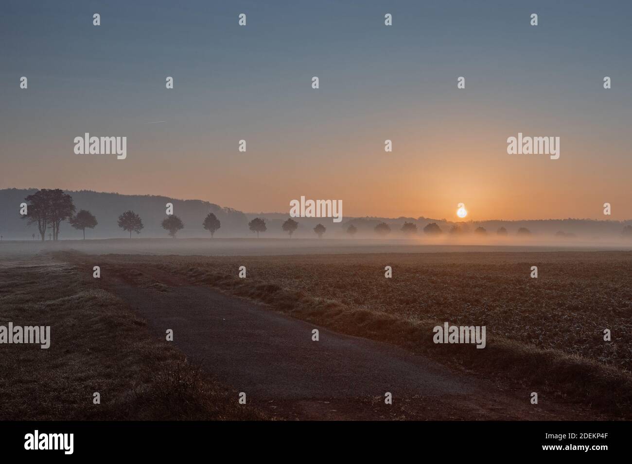 Field sun mist hi-res stock photography and images - Alamy
