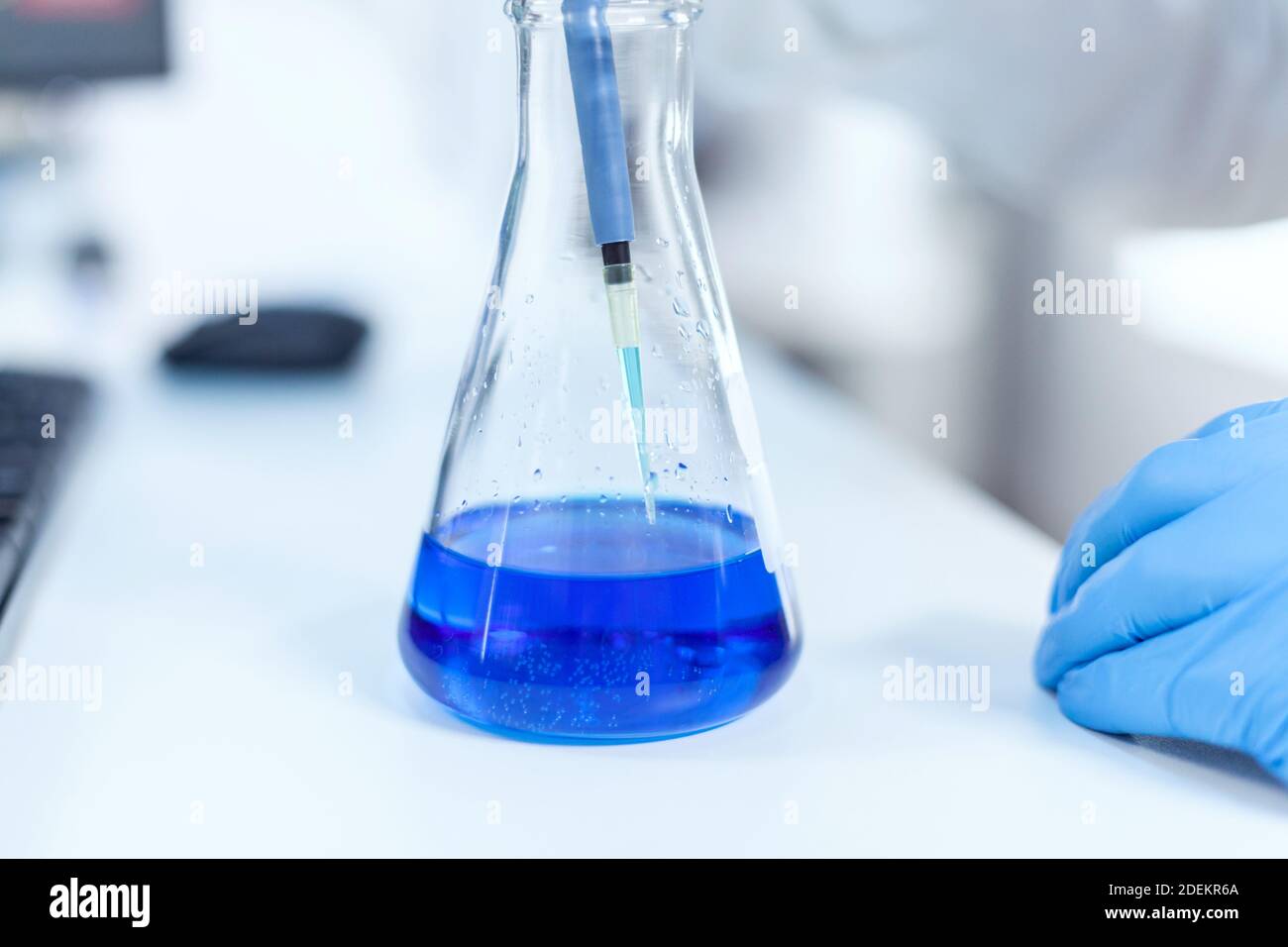Employee of the scientific laboratory examining the liquid in a ...