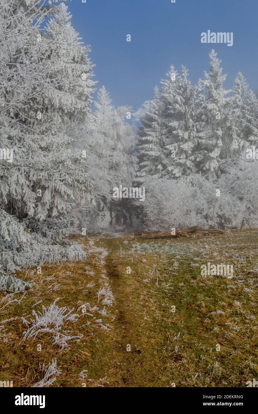 Winter walk on a sunny cold winter day around the Eberstwiese on the ...