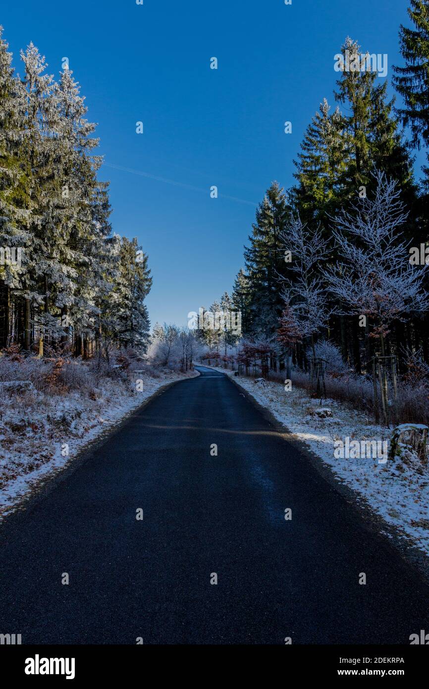 Winter walk on a sunny cold winter day around the Eberstwiese on the ...