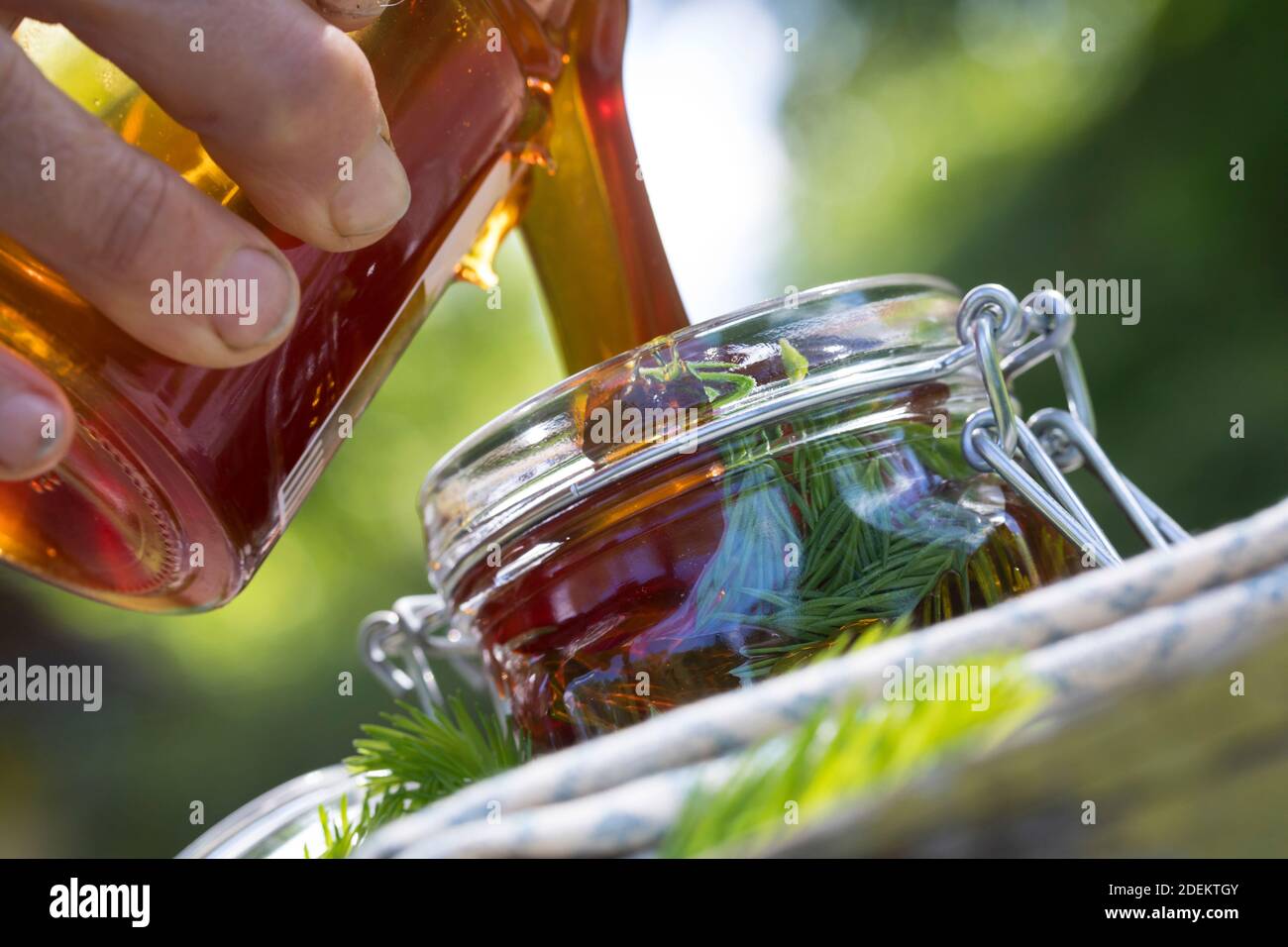 Fichten honig hi-res stock photography and images - Alamy