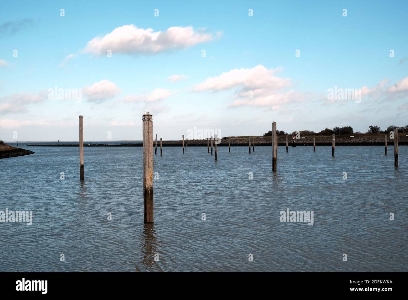 The big sticks vertically placed at the beach captured on a sunny day ...
