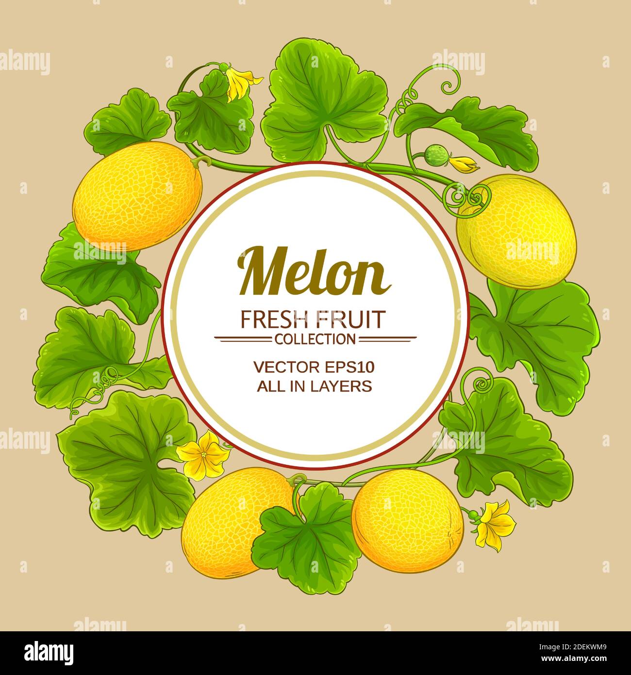 Summer fruit circle frame Stock Vector Images - Alamy