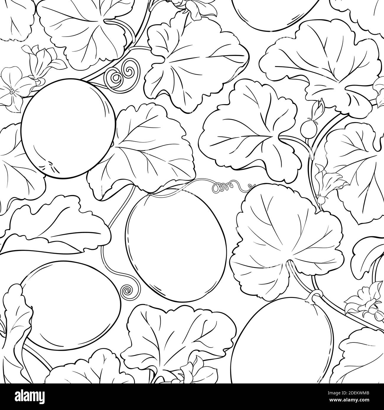 melon vector pattern Stock Vector Image & Art - Alamy