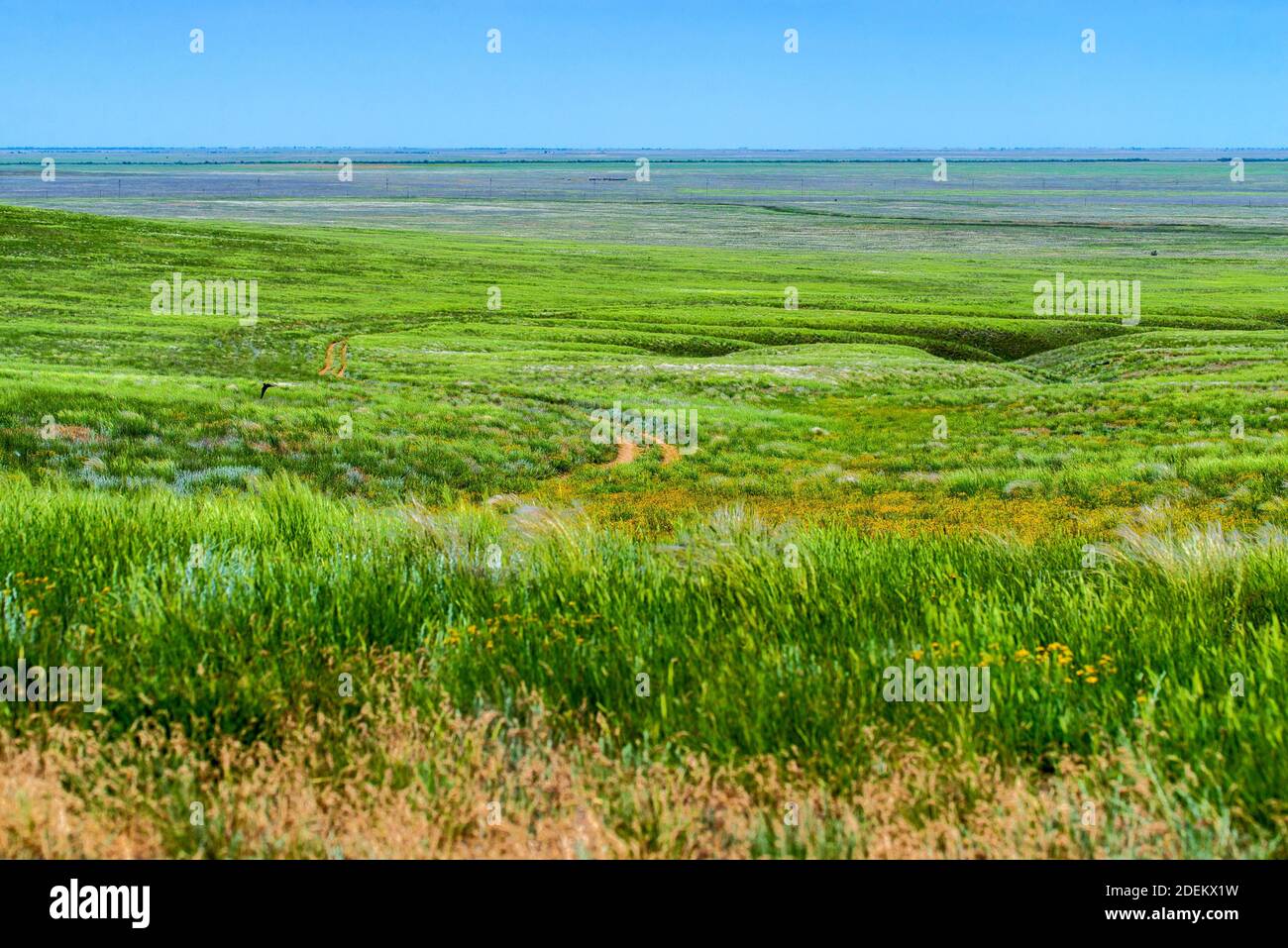Eurasian steppe hi-res stock photography and images - Alamy