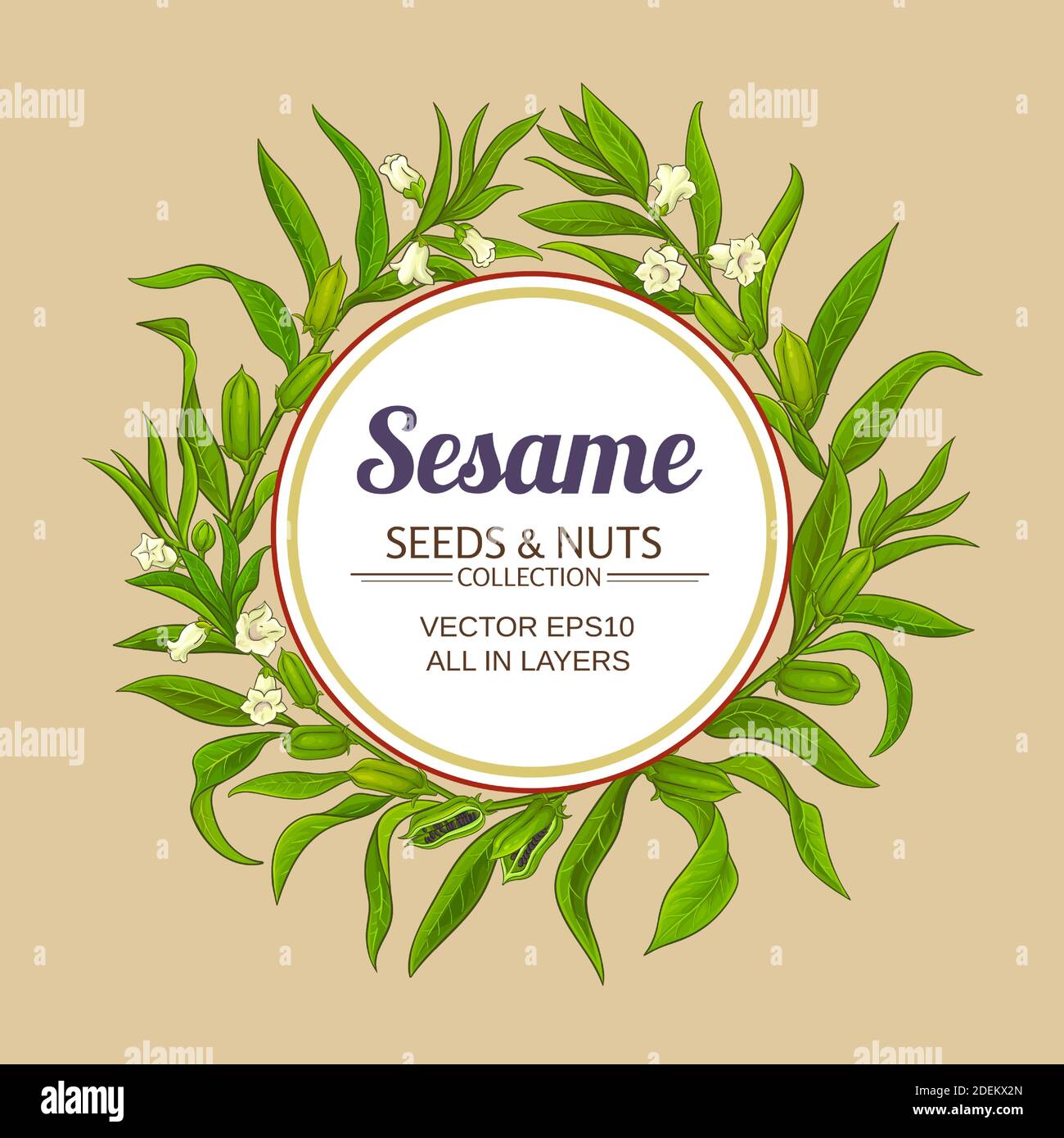 sesame vector frame Stock Vector Image & Art - Alamy